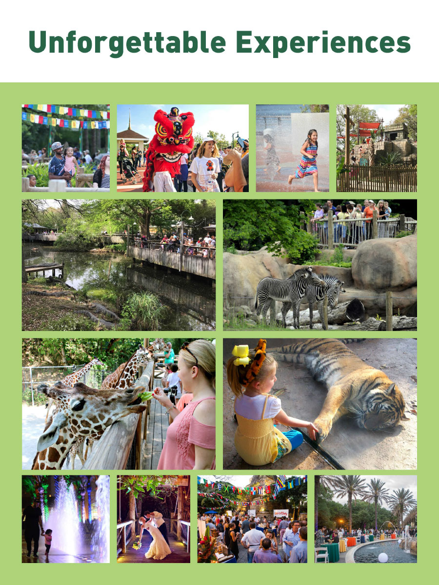 Baton Rouge Zoo Image Board - Greenwood Community Park and Baton Rouge Zoo