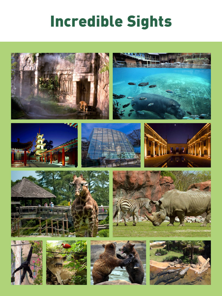 Baton Rouge Zoo Image Board - Greenwood Community Park and Baton Rouge Zoo